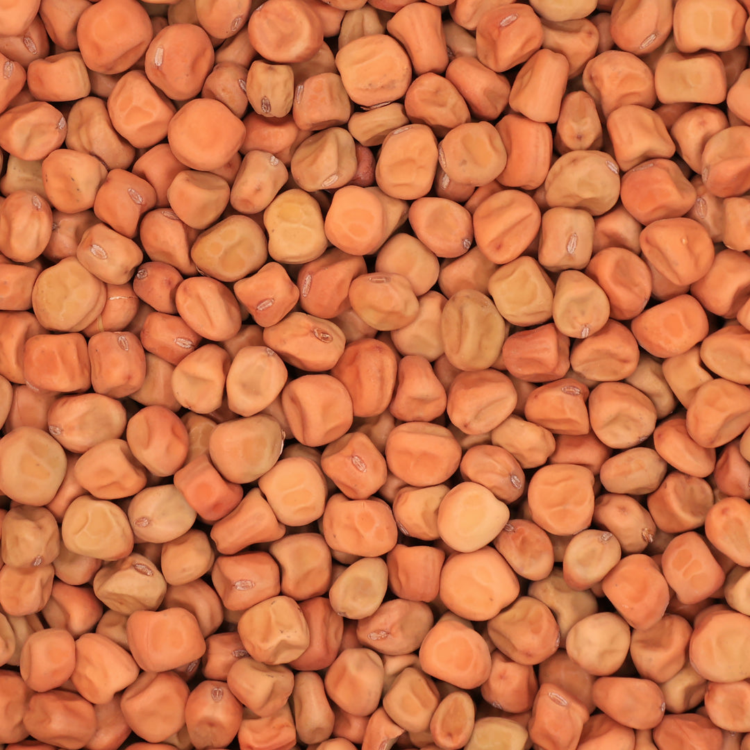 Kapucijners kopen | Verse en gedroogde kapucijners bestellen – De ...